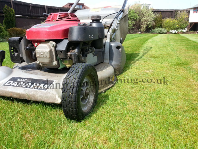 Grass cutting – Dan Frazer Gardening